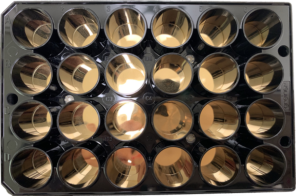 24WTEER PET (TEER Array) – Applied BioPhysics Inc.